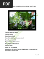 Broiler Production SBA Sample | PDF