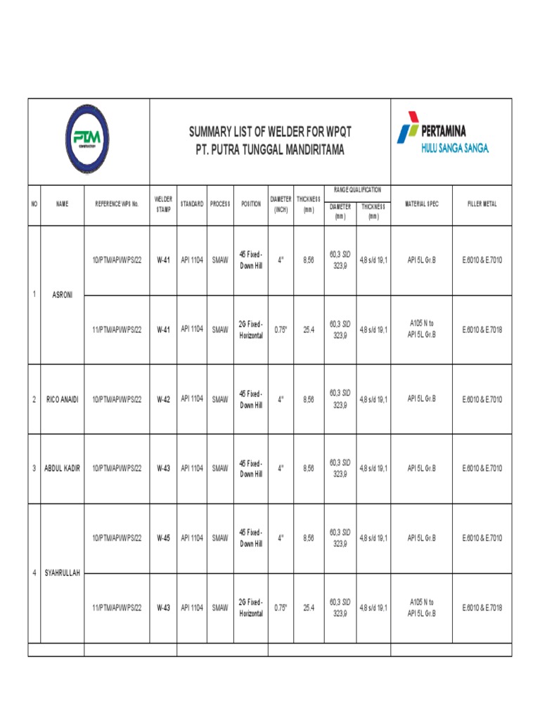 WPQT PHSS | PDF | Process Engineering | Business Process