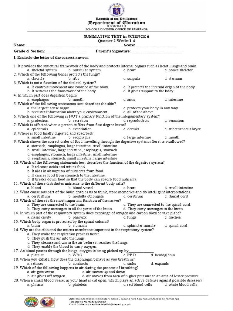 Summative Test in Science 6 Q2 W1-4 | PDF | Respiratory System | Blood