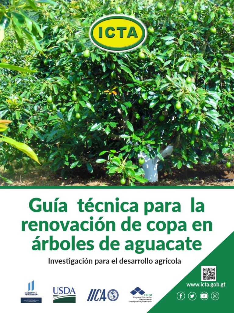 Guía Tecnica Aguacate Abril 2022 | PDF | Arboles | Injerto