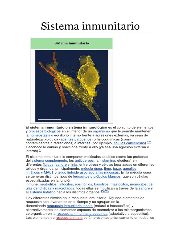 Sistema Inmunitario | PDF | Sistema inmune | Sistema inmune innato