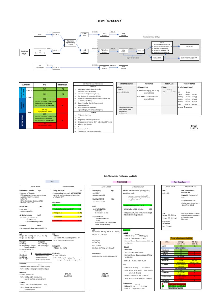 Stemi Made Easy Beta Version | PDF | Clinical Medicine | Medical ...