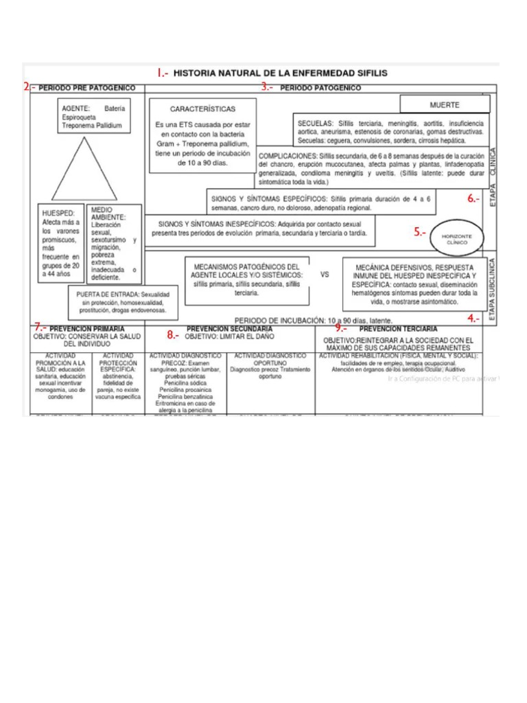 Hne Ejemplo Pdf