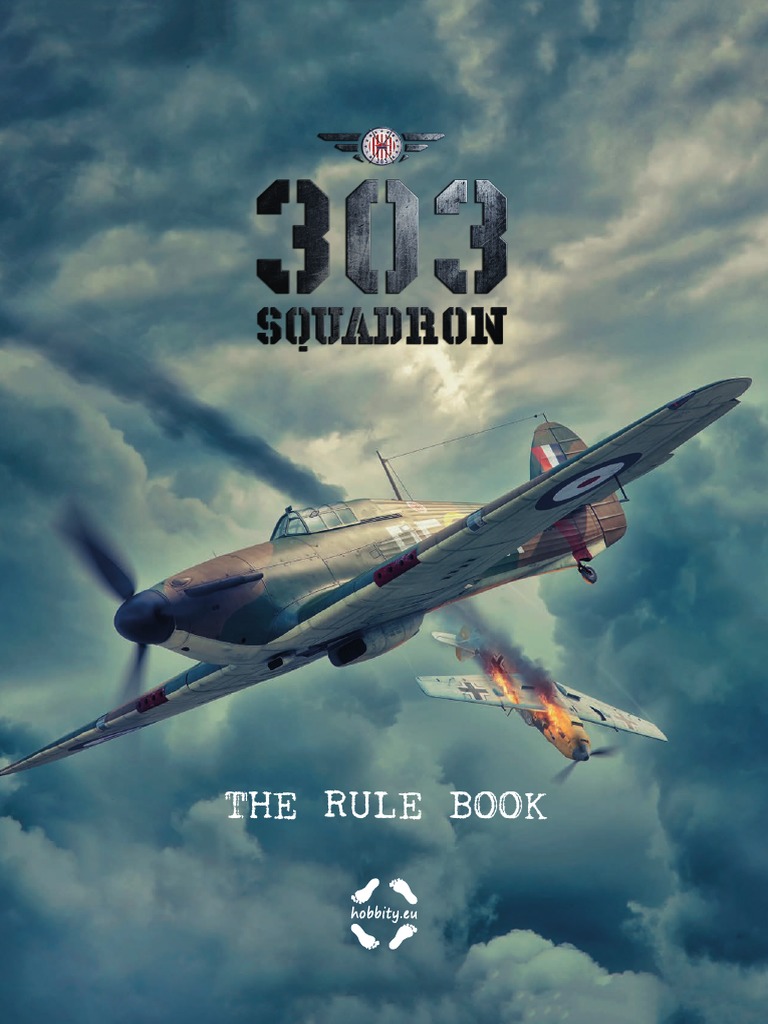 303 Rules | PDF | Fighter Aircraft | Luftwaffe