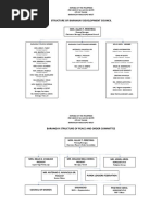 Barangay BDRRMC Structure Overview | PDF | Security | Prevention