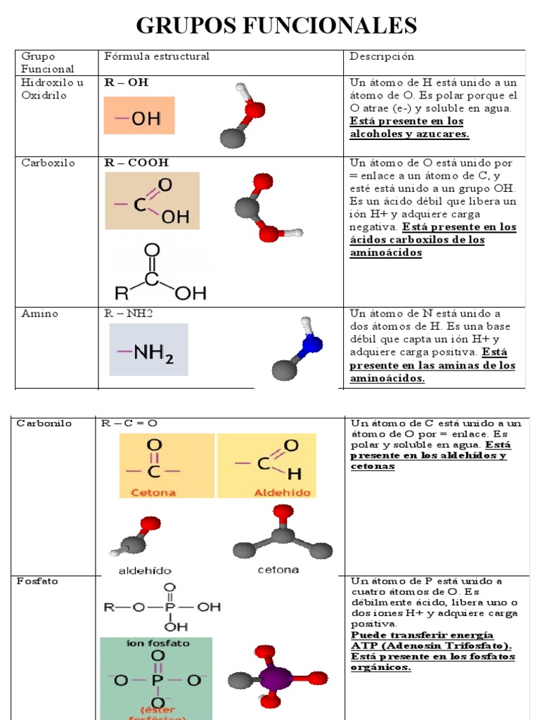 Biología Grupos Funcionales | PDF
