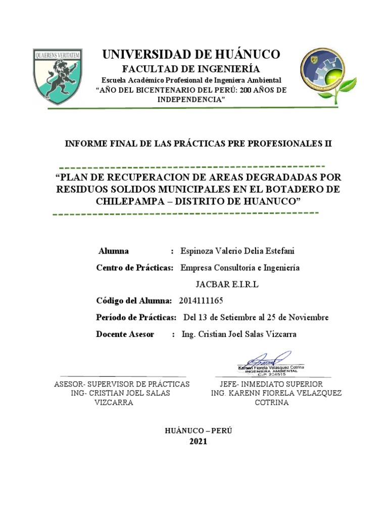 Informe Final-Practicas Pre Profesionales II Espinoza Valerio Delia ...