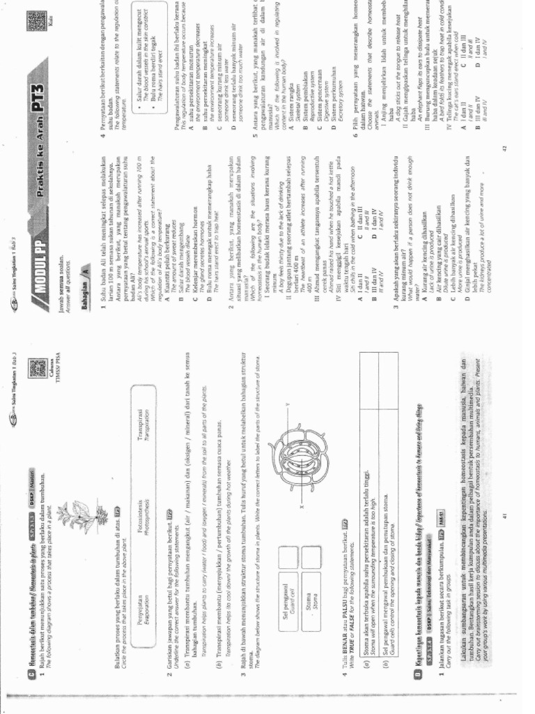 F1 SAINS BAB 3 HOMEWORK (Koordinasi Dan Gerak Balas) | PDF