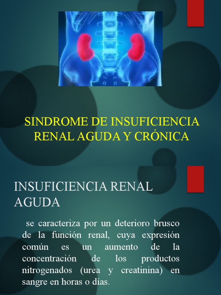 Insuficiencia Renal Aguda y Cronica | PDF | Urología | Fisiología