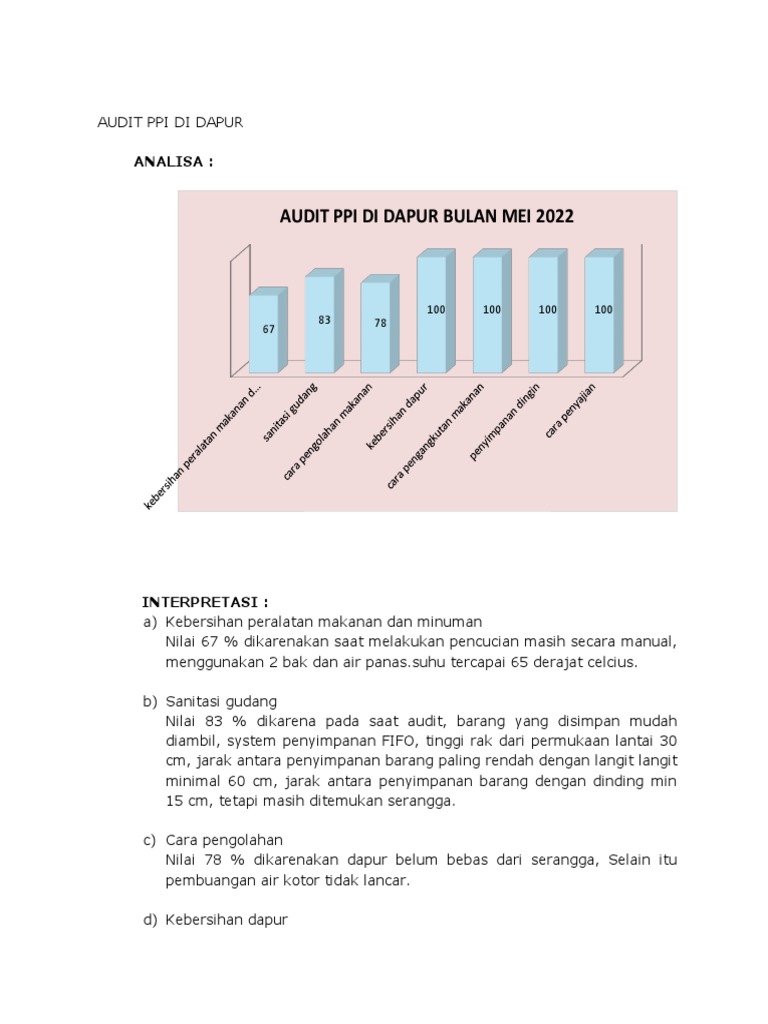 Audit PPI Mei 2022 | PDF