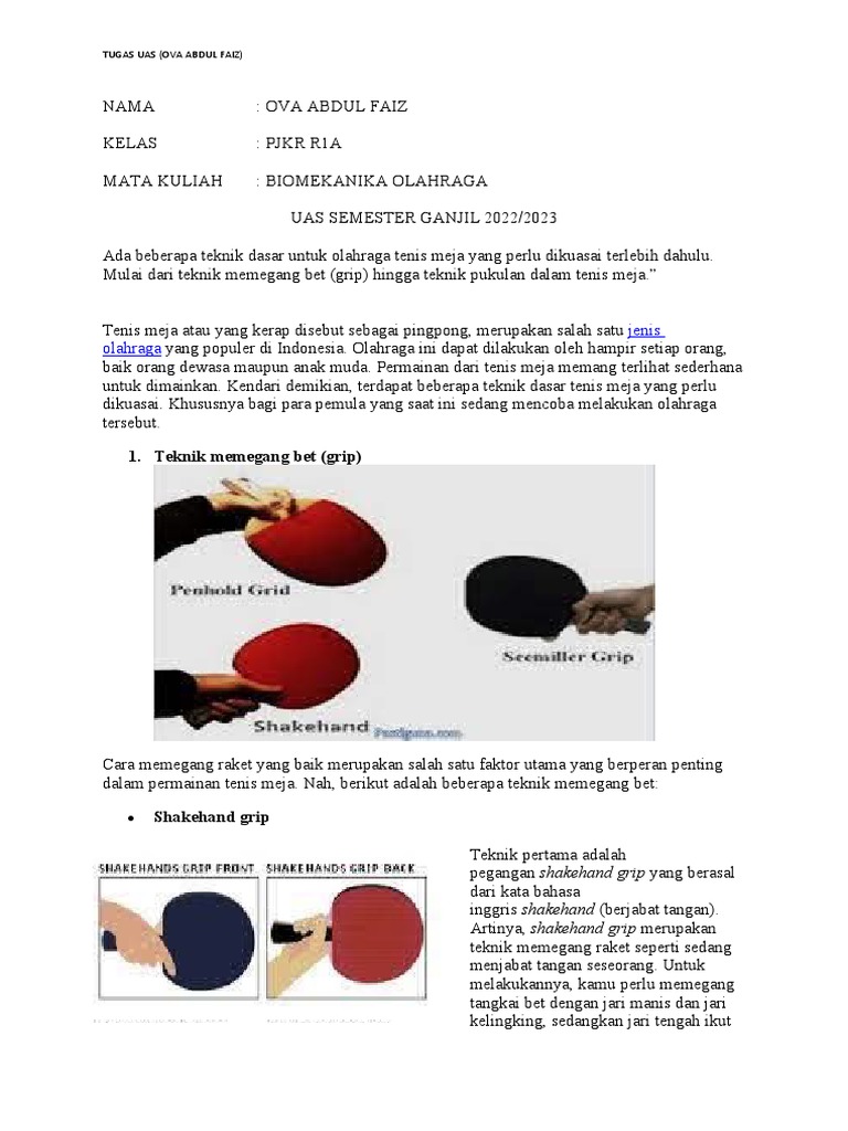 TEKNIK DASAR TENIS MEJA | PDF