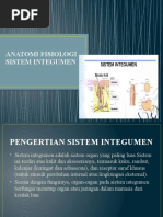 Anatomi dan Fisiologi Sistem Integumen | PDF