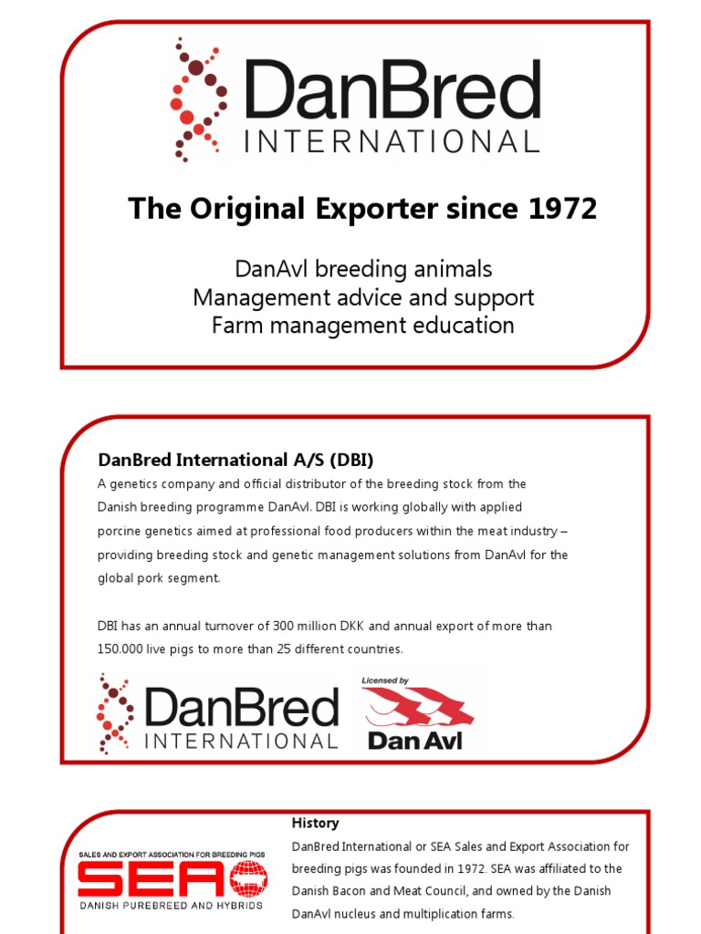DanBred International | PDF | Pig | Livestock