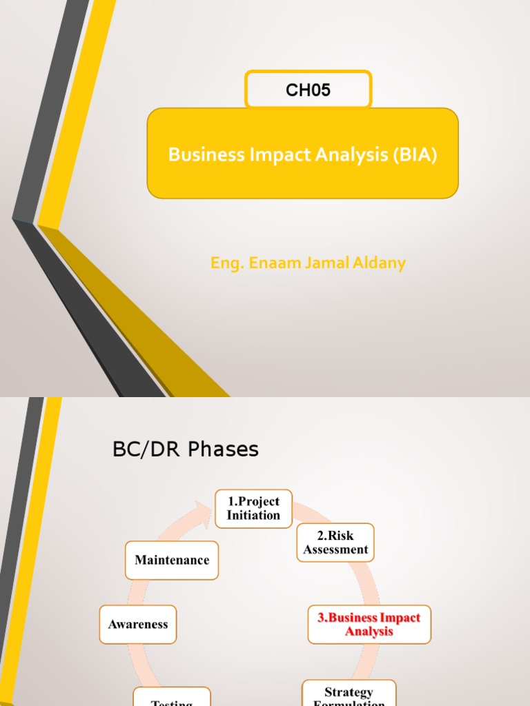 BIA Analysis Critical Business Functions | PDF | Disaster Recovery ...