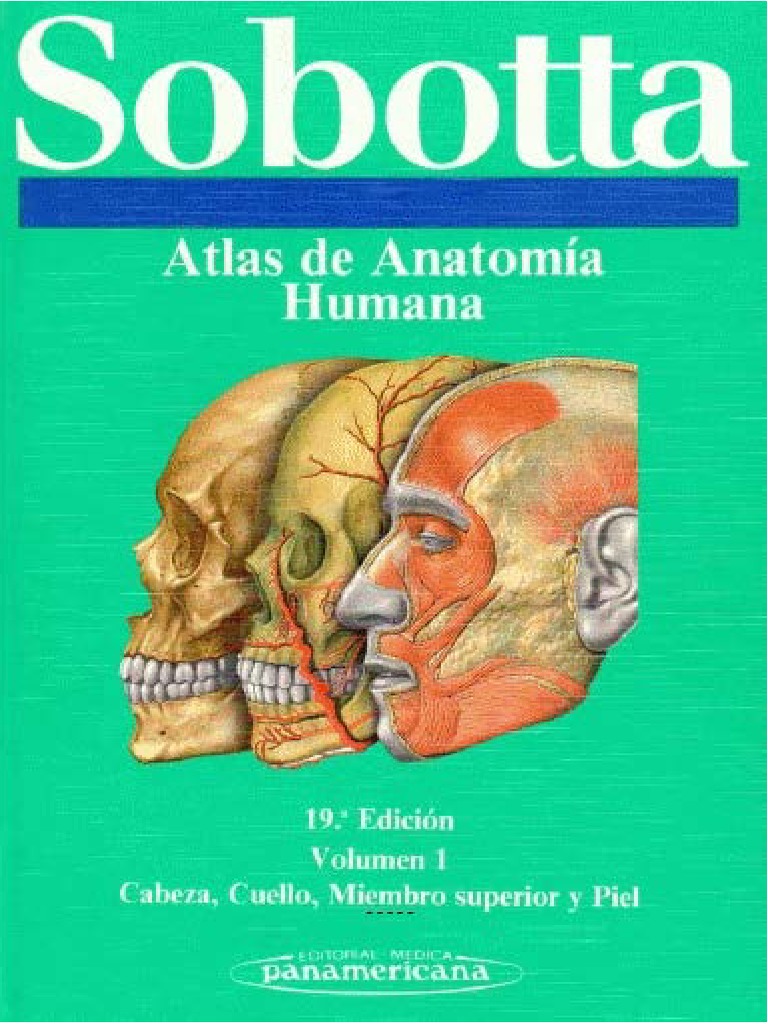 Atlas de Anatomía Humana - Sobotta - Volumen 1 - 19a Edición | PDF ...