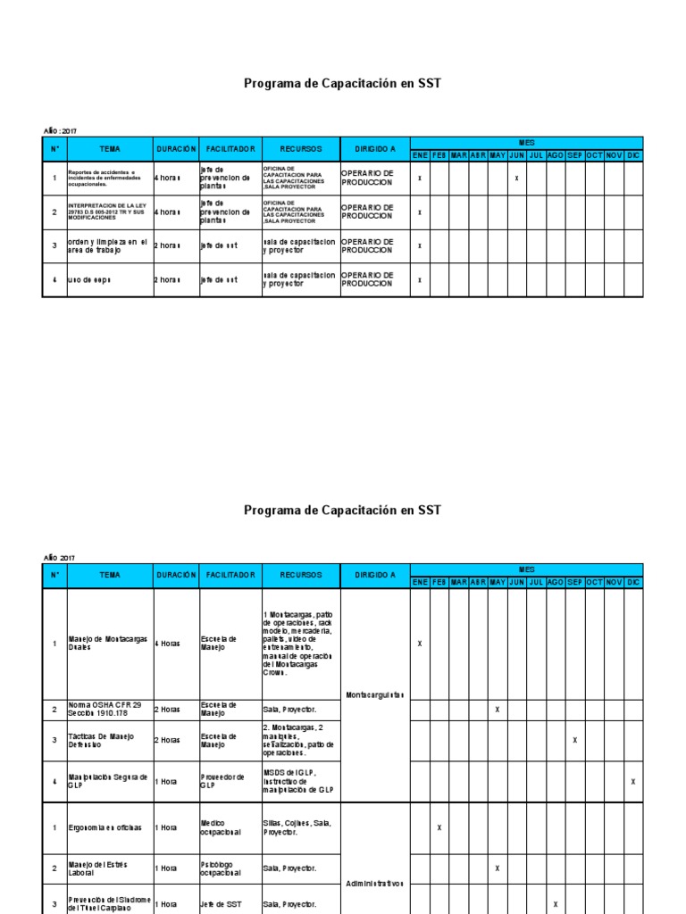 Programa Anual de Capacitación SST 2017 | PDF | Seguridad y salud ...