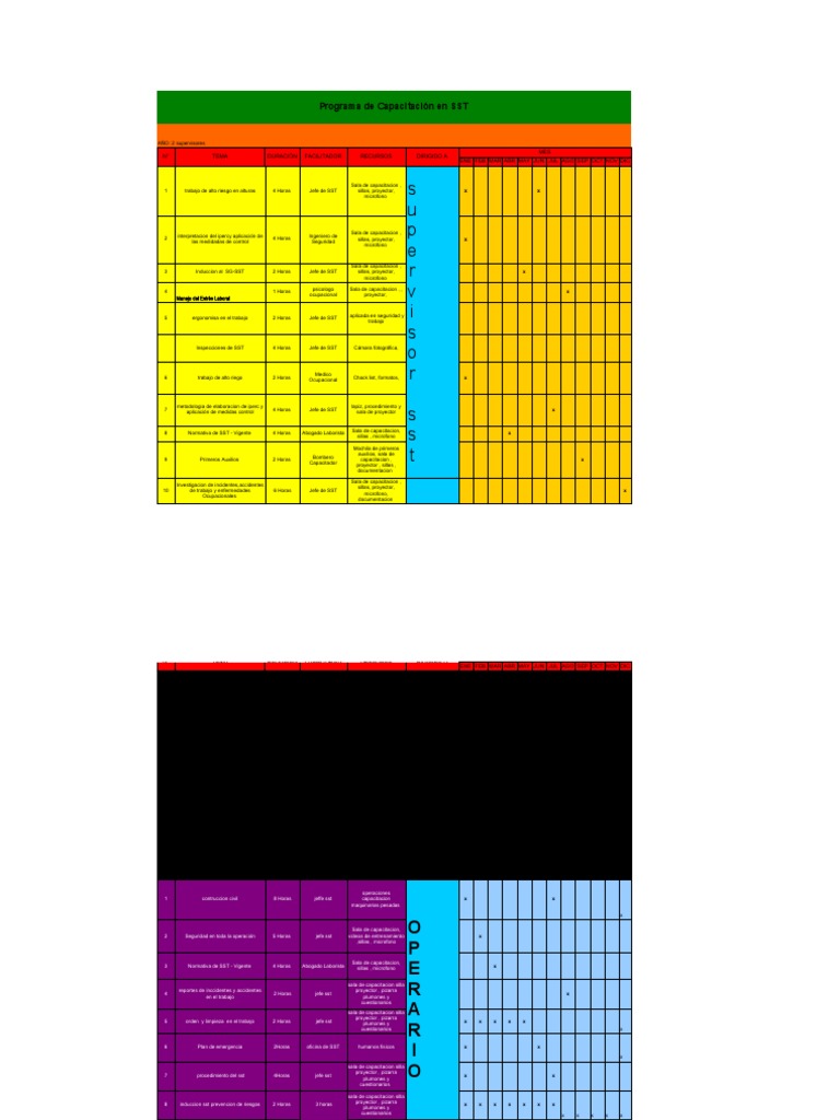 Programa Anual de Capacitación de SST (7) Profe Disculp e Me Guiado | PDF | La seguridad ...