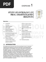 Chapter 7 Lab Assignment - Axial Skeleton Labeling | PDF | Vertebra | Skull