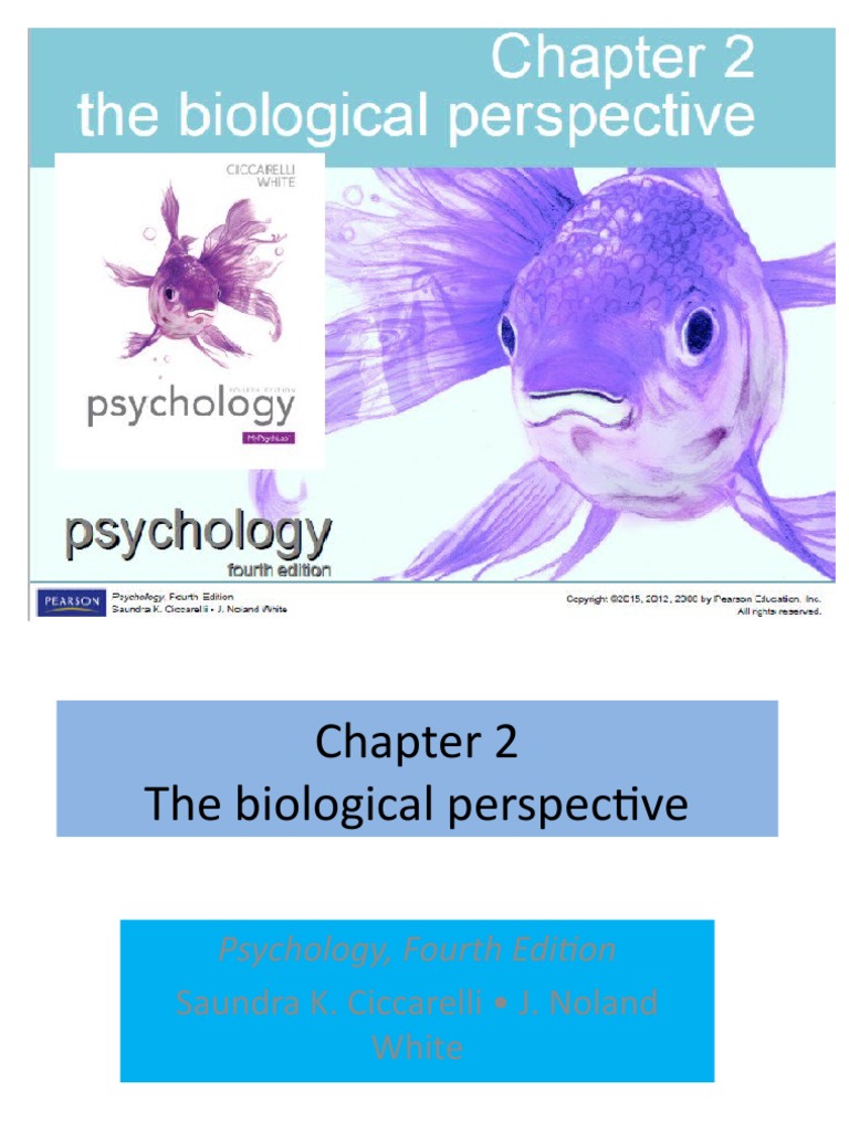 Chapter 2 The Biological Perspective | PDF | Neuron | Nervous System
