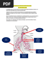 Es La Pectoriloquia Áfona | PDF