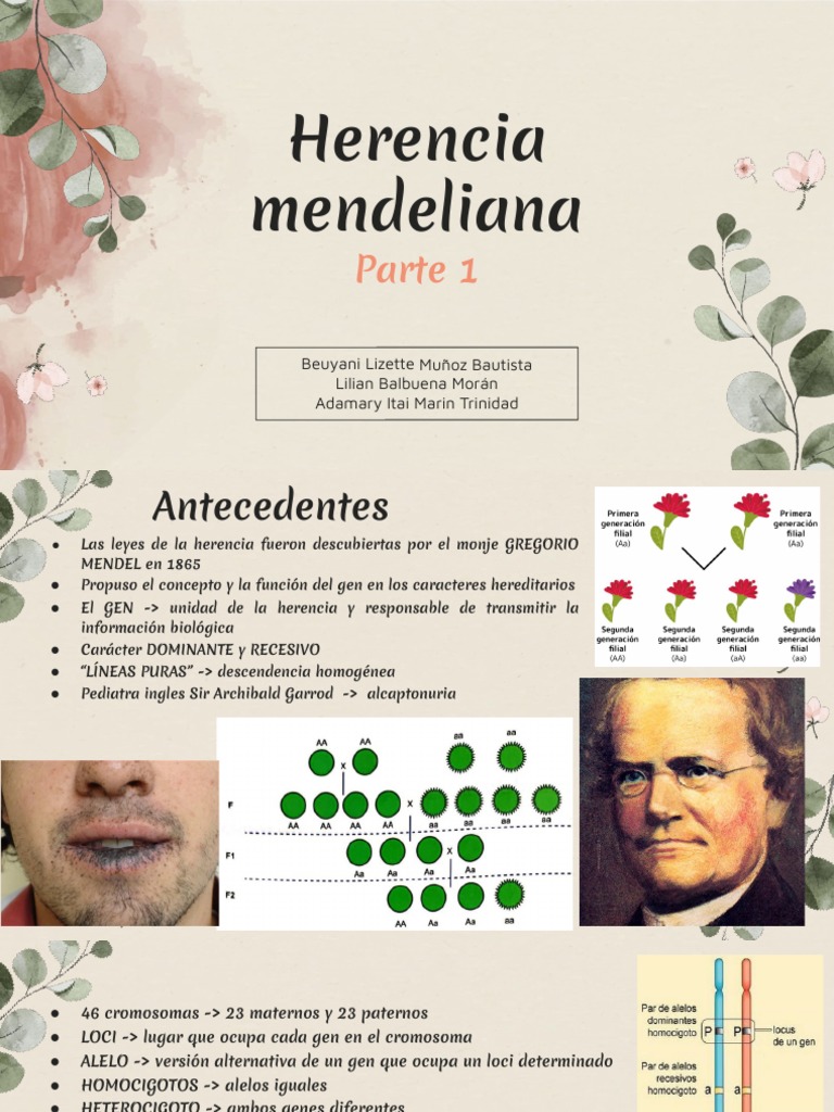 Herencia Mendeliana | PDF | Dominancia (Genética) | Mutación Herencia Mendeliana | PDF | Dominancia (Genética) | Mutación