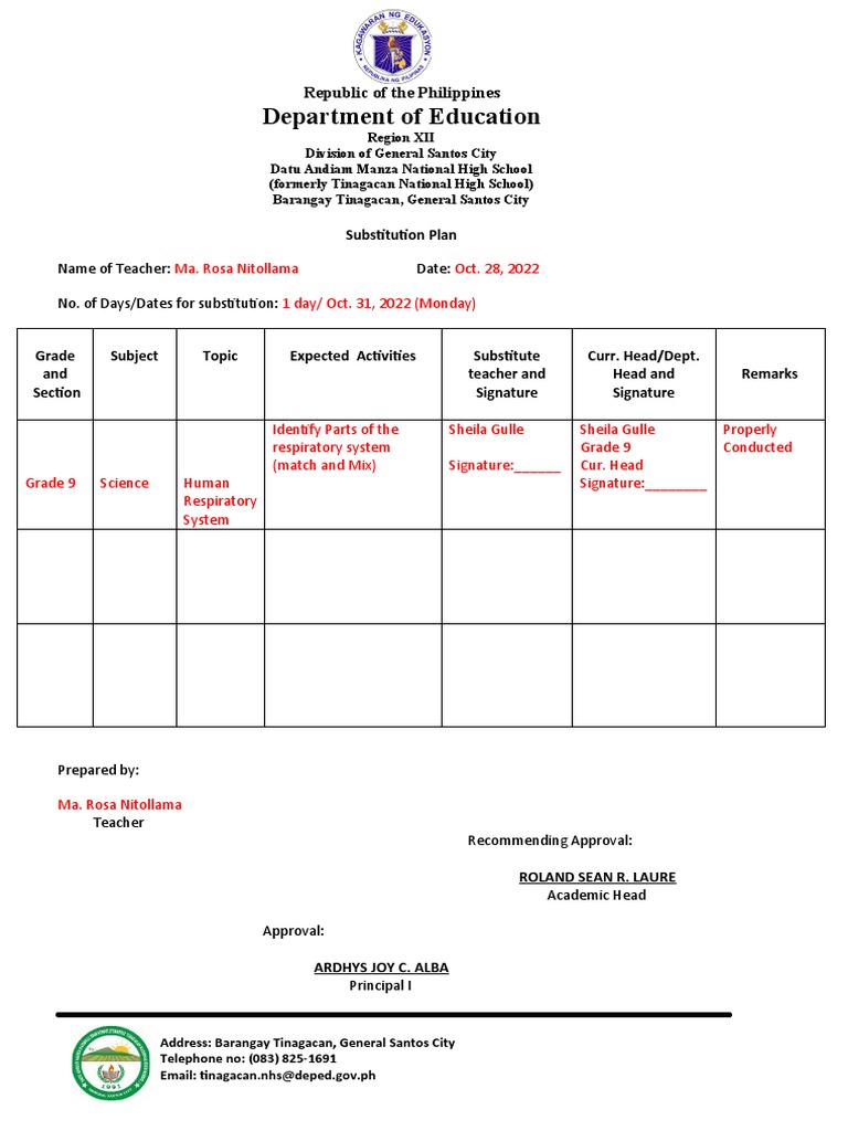 Substitution Plan | PDF | Behavior Modification | Cognition