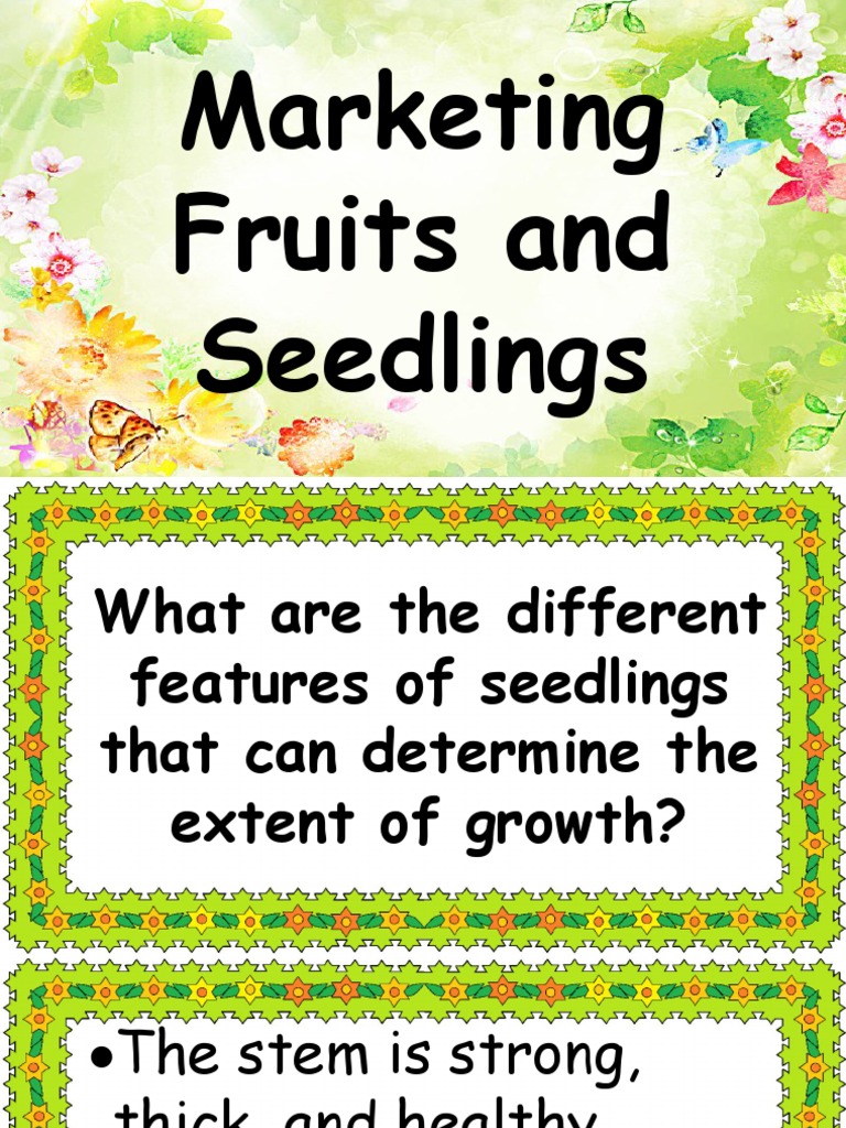 Marketing Fruits and Seedlings | PDF | Marketing | Online Advertising