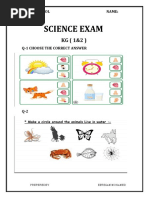 Kindergarten English Test Paper | PDF