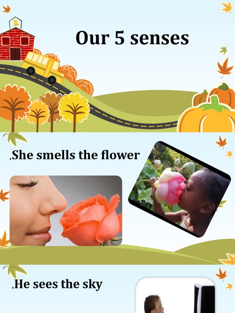 Our 5 Senses Conversation Topics Dialogs Fun Activities Games G - 75921 ...