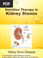 BAUS Dietary Guide for Kidney Stones | PDF | Foods | Urine