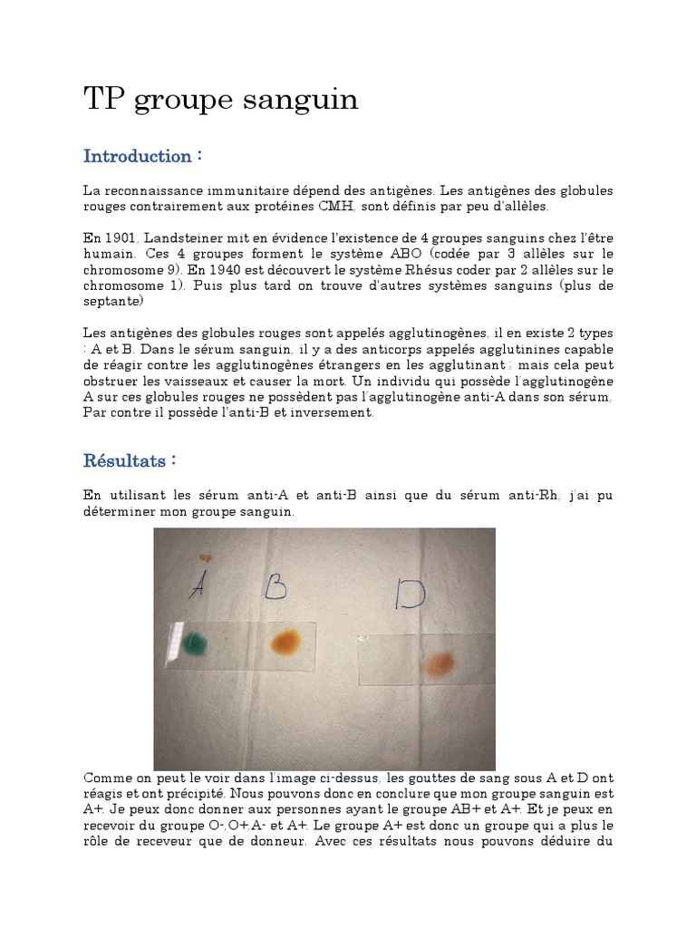 TP Groupe Sanguin | PDF