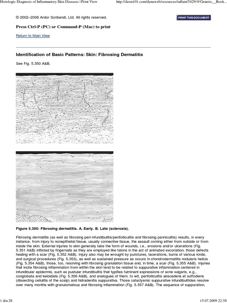 Identification of Basic Patterns - Skin - Fibrosing Dermatitis | PDF ...