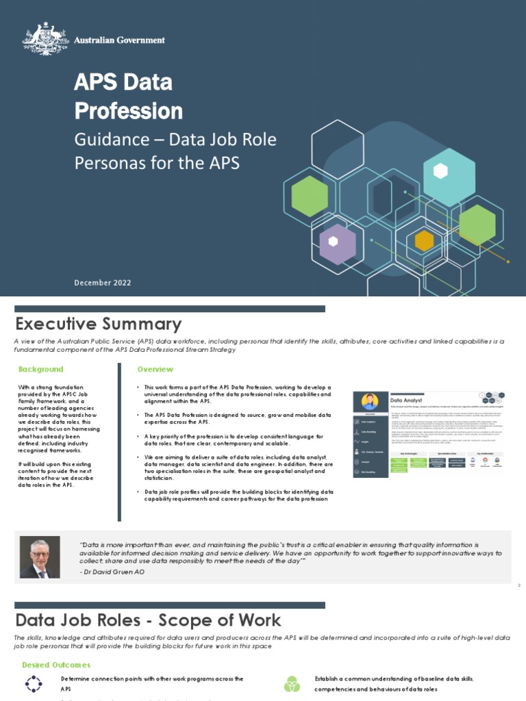 APS Data Roles Guide | PDF | Human Resource Management | Business