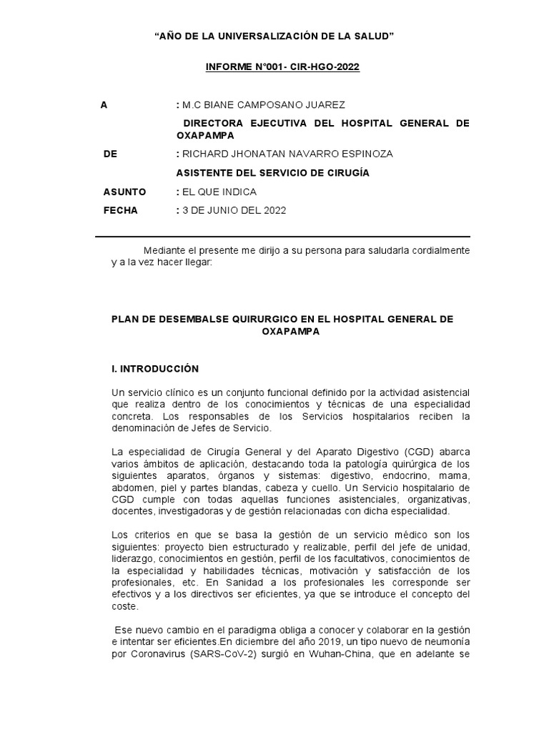 Informe de Desembolso Quirurgico | PDF | Cirugía | Hospital