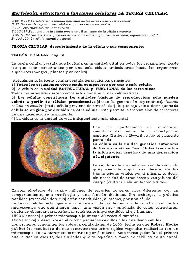 PDF Download Morfologia Estructura y Funciones Celulares La Teoria Celular | Descargar gratis ...