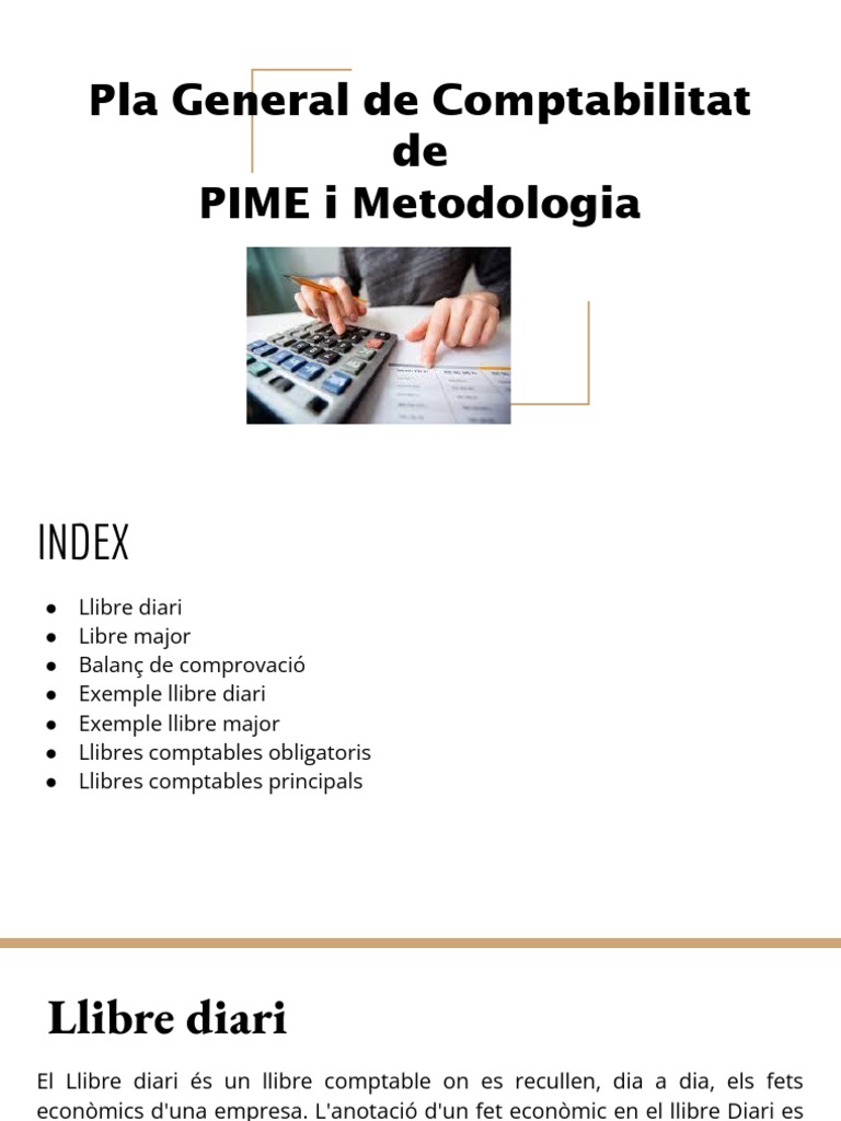 Pla General de Comptabilitat | PDF