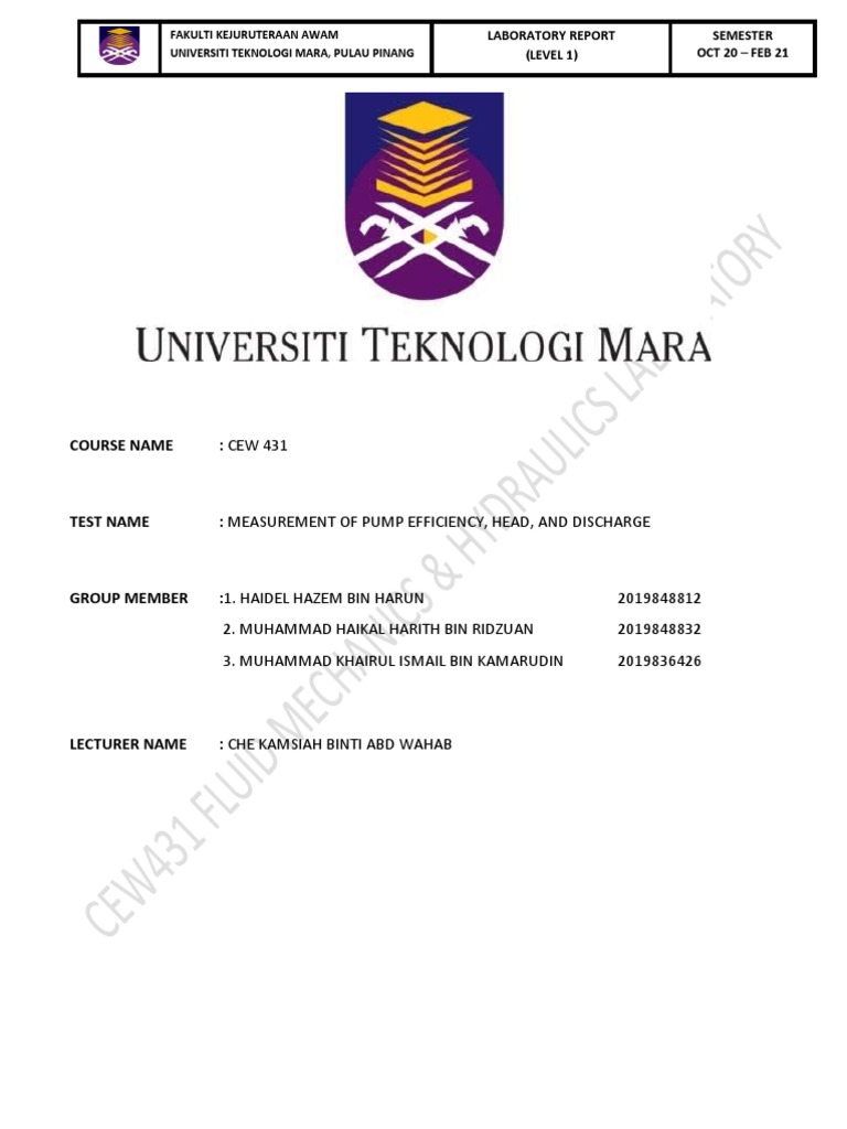L02 Pump - Report | PDF | Pump | Chemical Engineering
