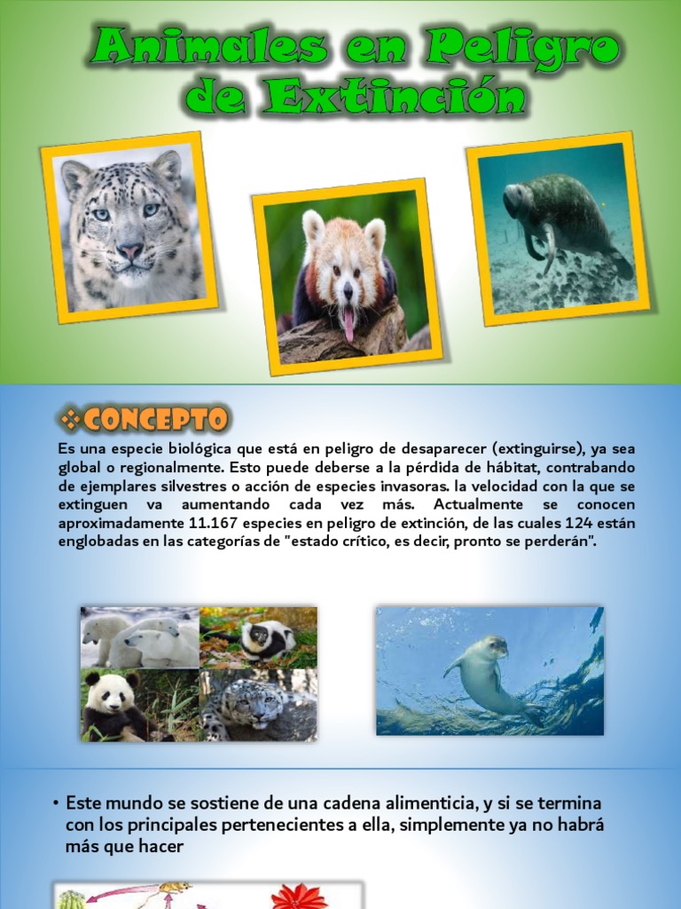 Animales en Peligro de Extinción | PDF | Especie en peligro | Extinción