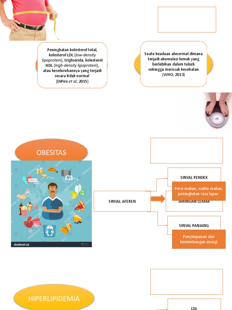 Obes & Hiperlipid - Definisi&patofis | PDF
