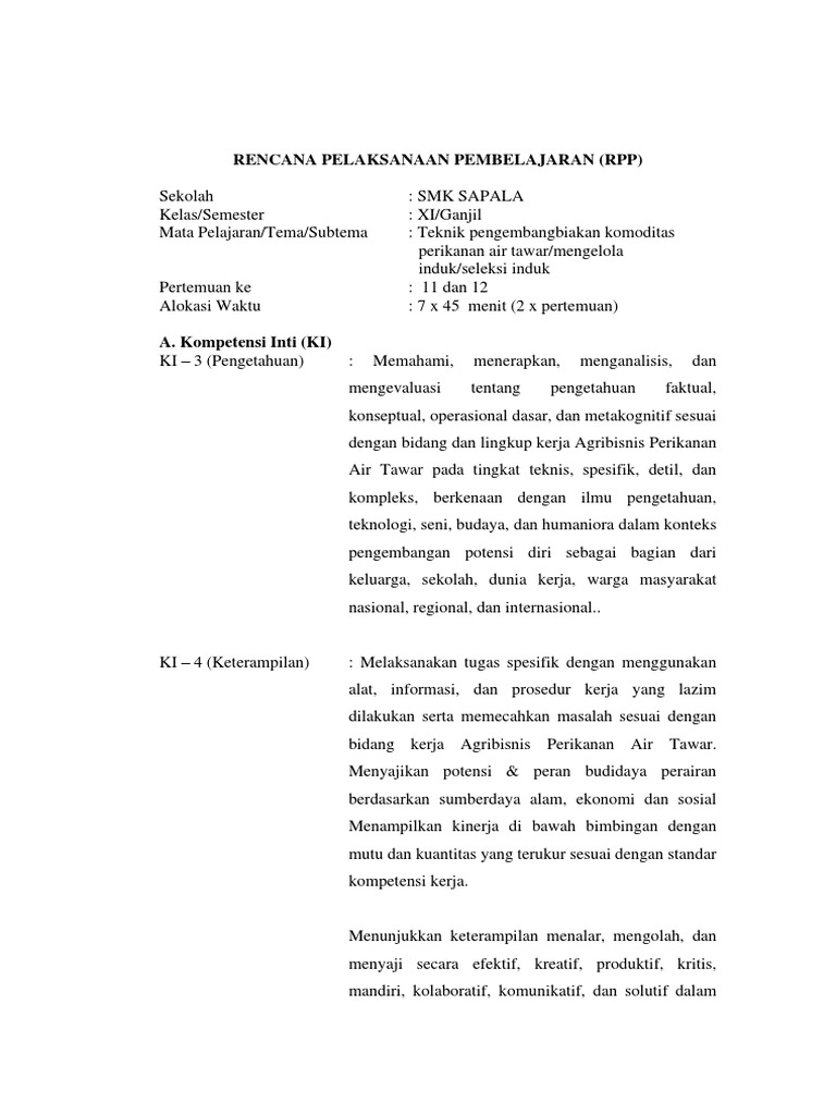 Rencana Aksi 1 | PDF