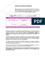 E5CINCO Formato Opcion 1 | PDF