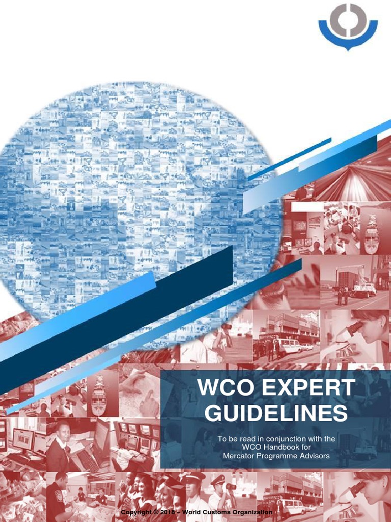 Wco Experts Guidelines | PDF | Expert | Per Diem