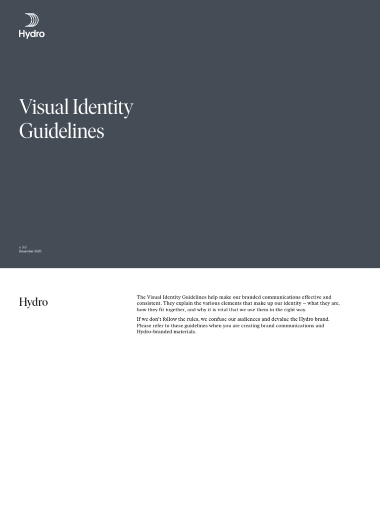 Hydro Brand Manual | PDF | Typefaces | Times New Roman