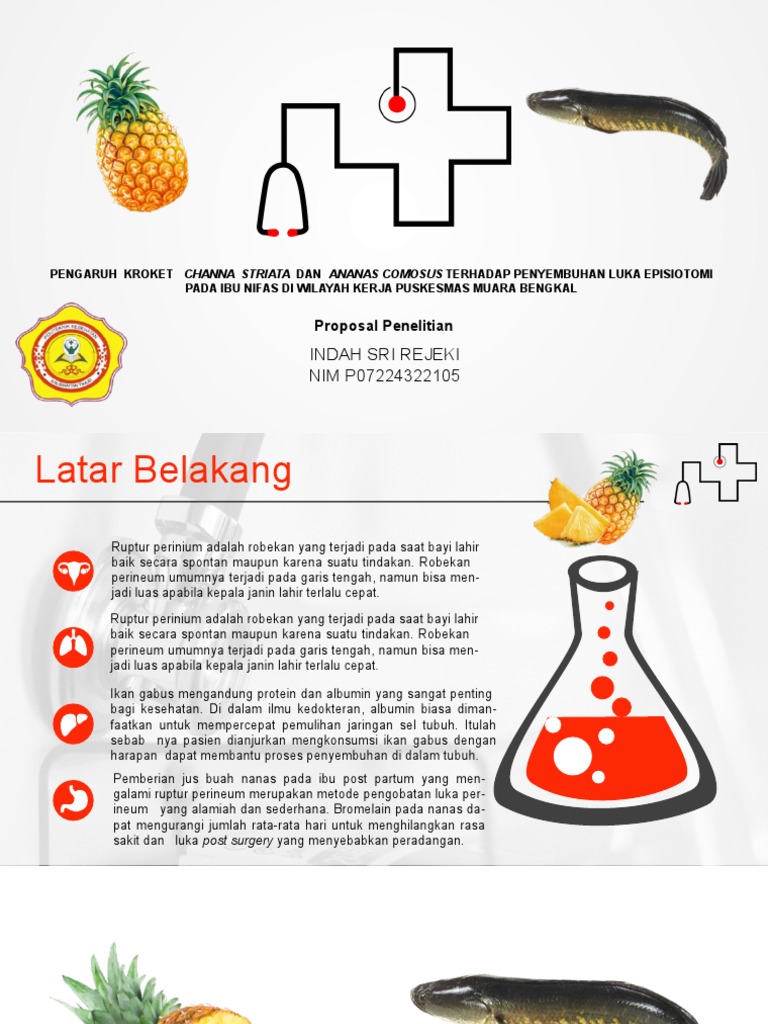 Pengaruh Ikan Gabus Dan Jus Nanas Terhadap Produksi Asi | PDF