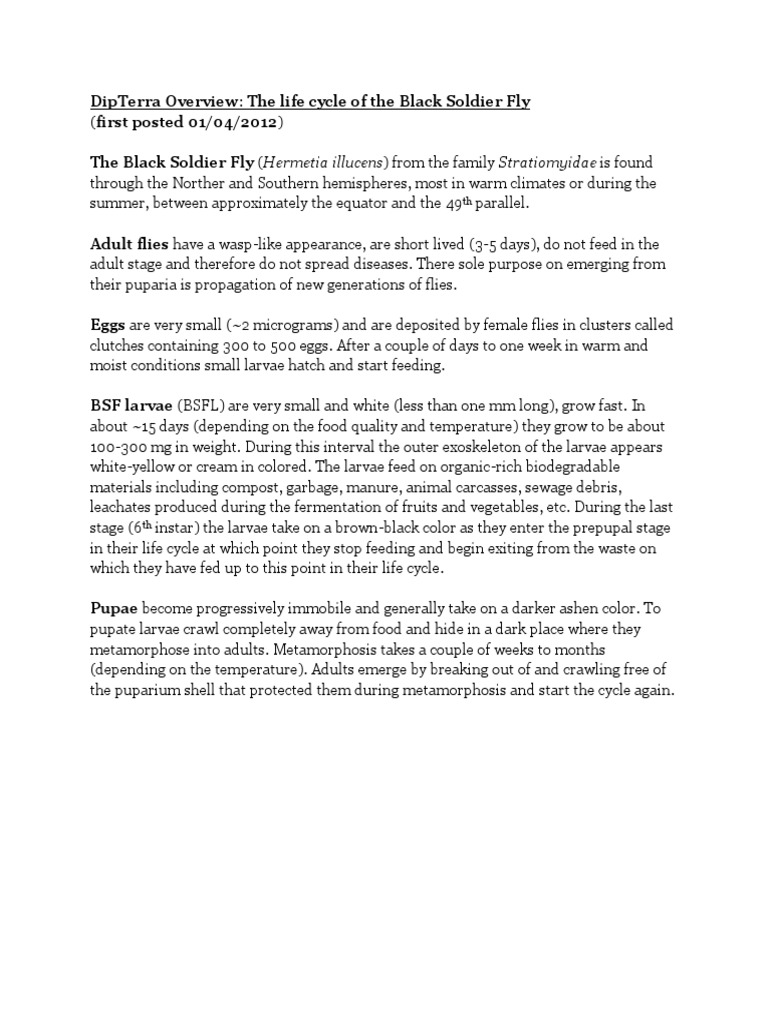Life Cycle of The Black Soldier Fly | PDF