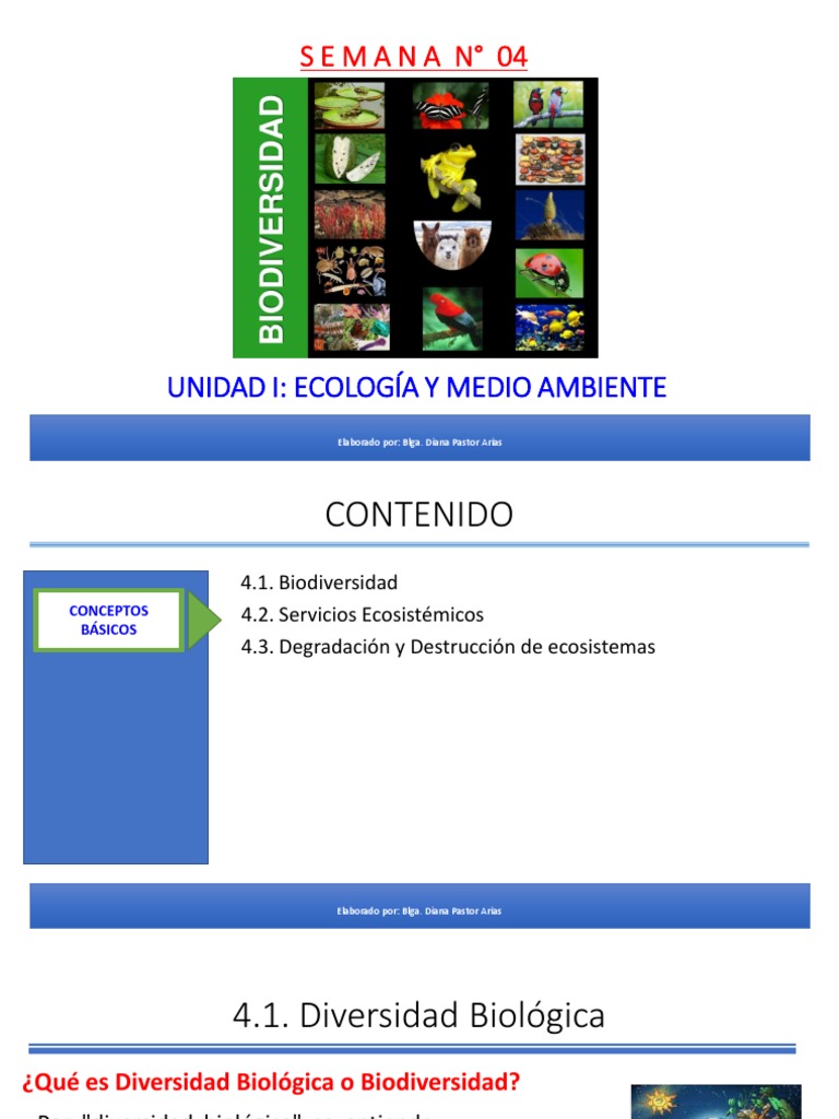 Bio Divers I Dad | PDF | Biodiversidad | Biología