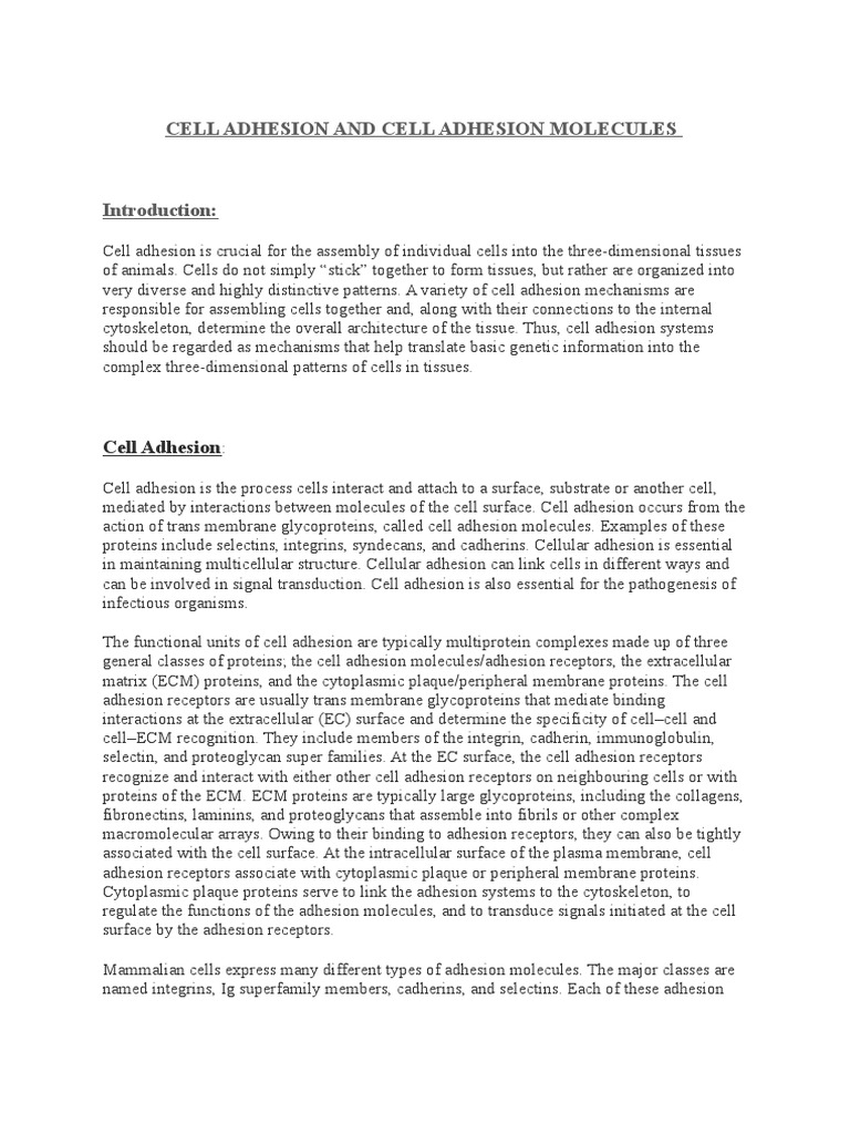 Cell Adhesion and Cell Adhesion Molecules | PDF | Cell Adhesion | Integrin