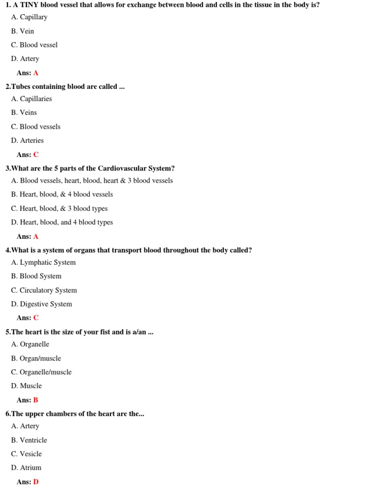 Circulatory System MCQ | PDF | Atrium (Heart) | Heart