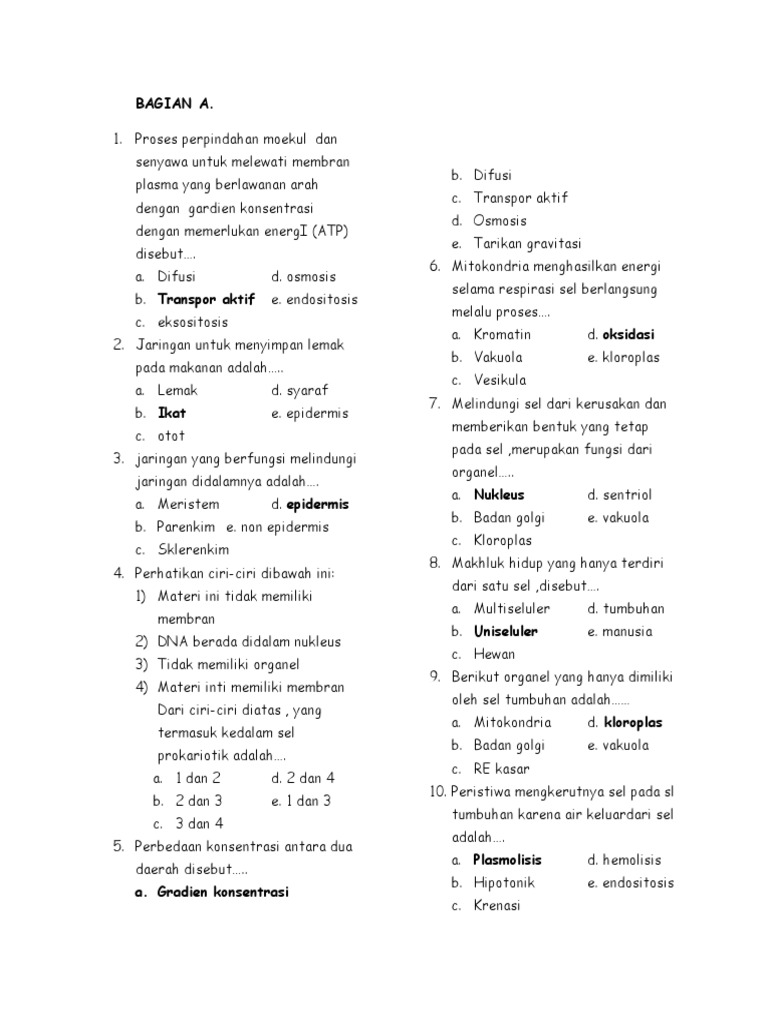Uh Bio Xi 2 Kunci | PDF | Sains & Matematika
