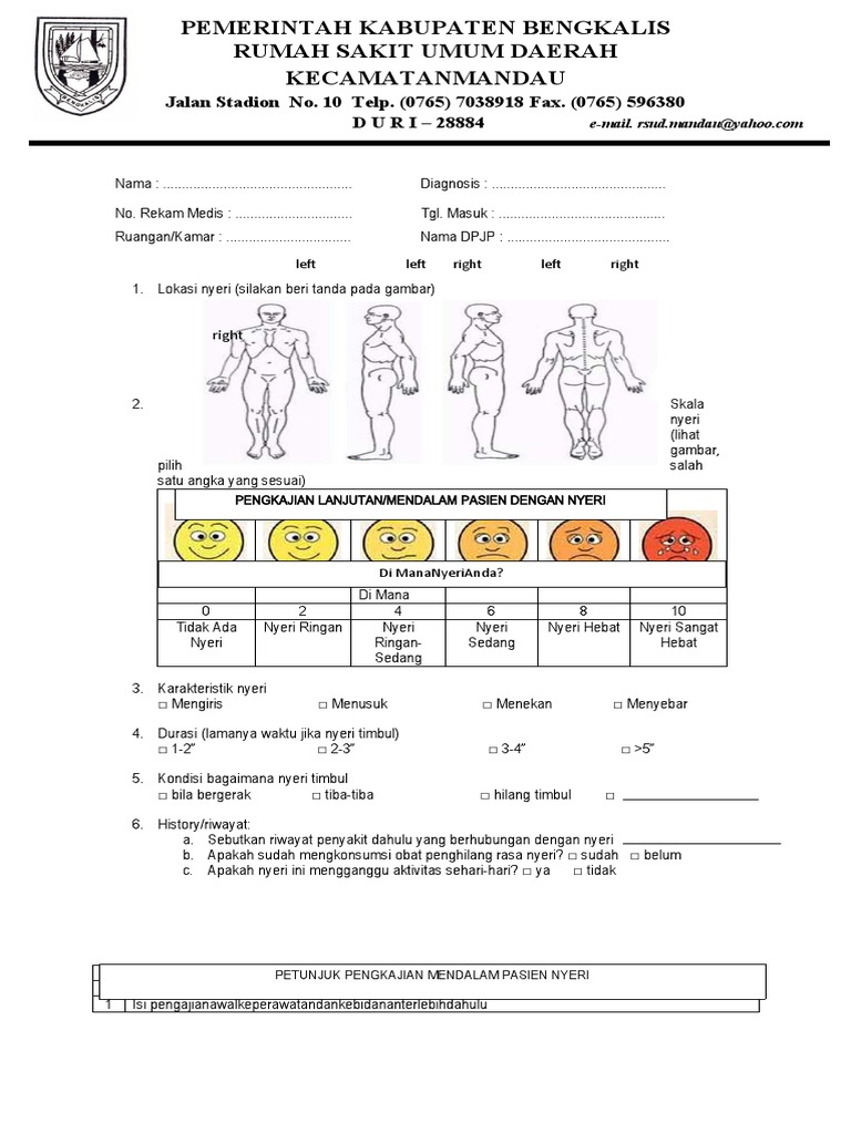 Pengkajian Nyeri Pasien di RSUD Mandau | PDF